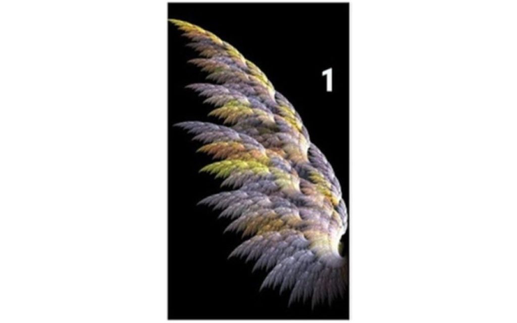 Choose an Angelic Wing and Receive a Message of Light and Hope