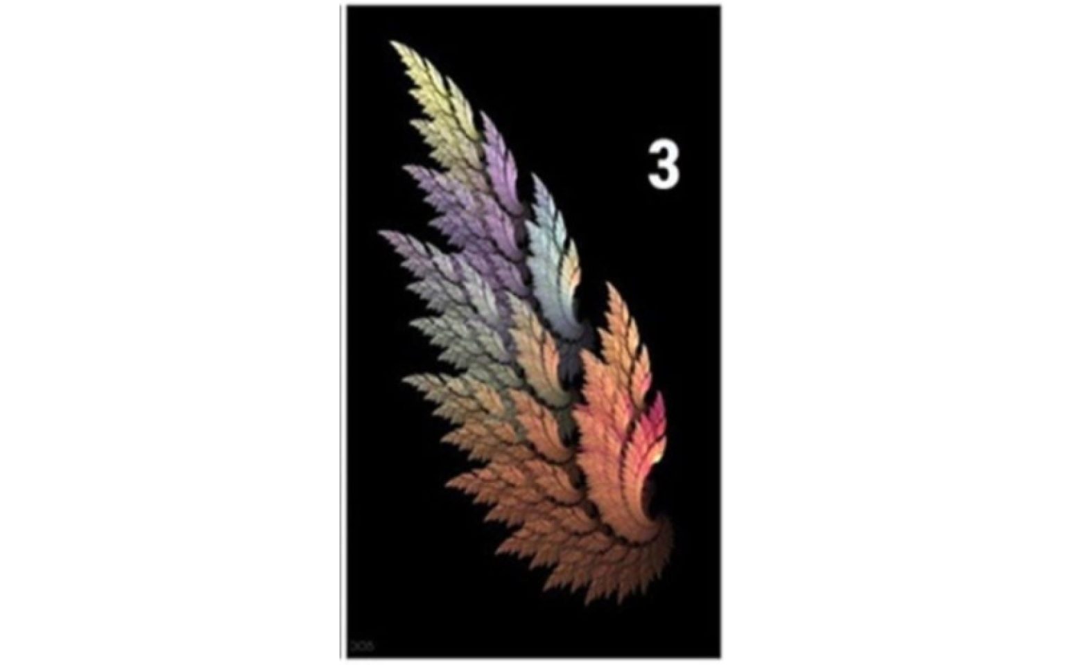 Choose an Angelic Wing and Receive a Message of Light and Hope