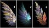 Choose an Angelic Wing and Receive a Message of Light and Hope
