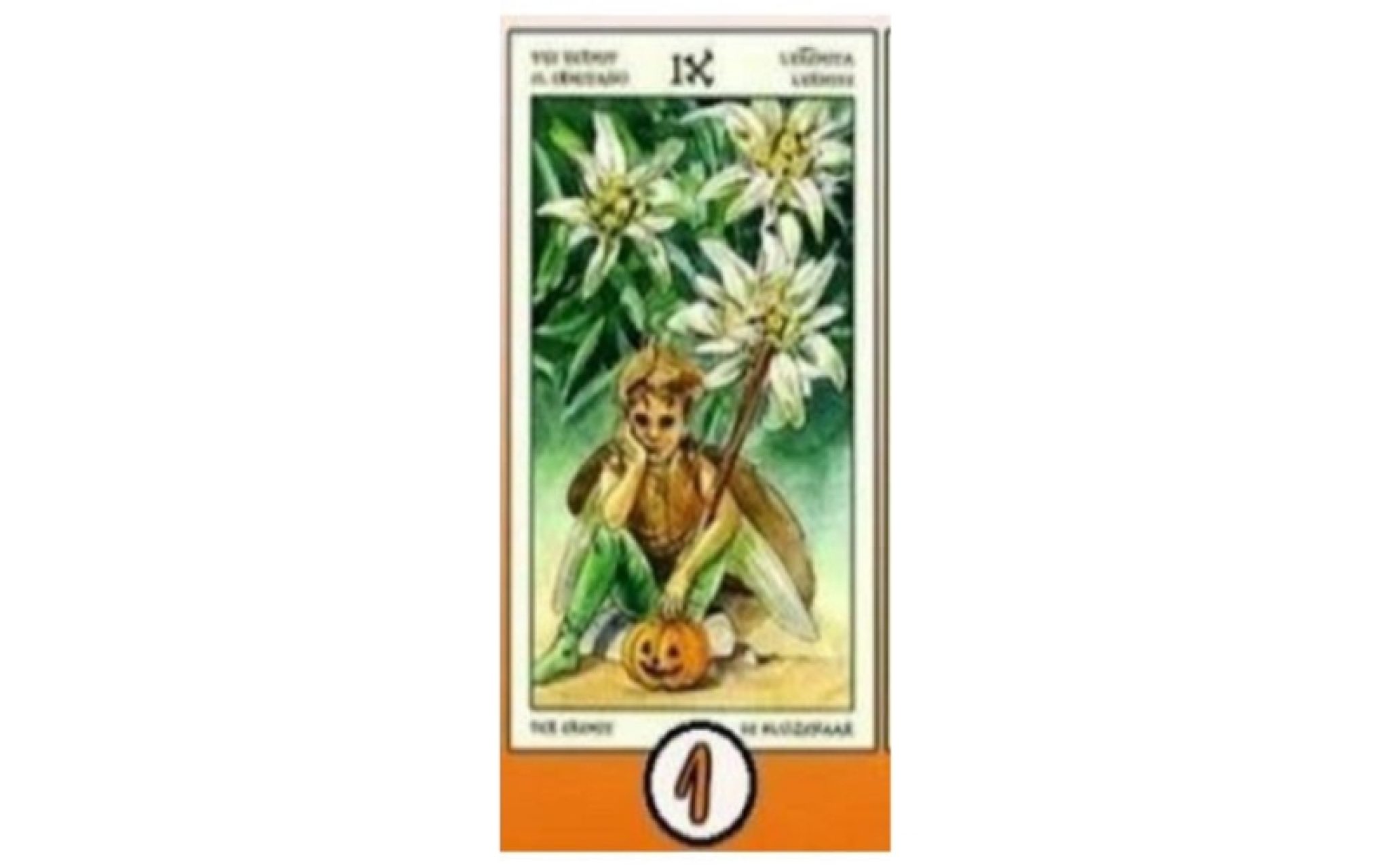 Choose a Card You Like Best to Receive a Glimpse of Your Future