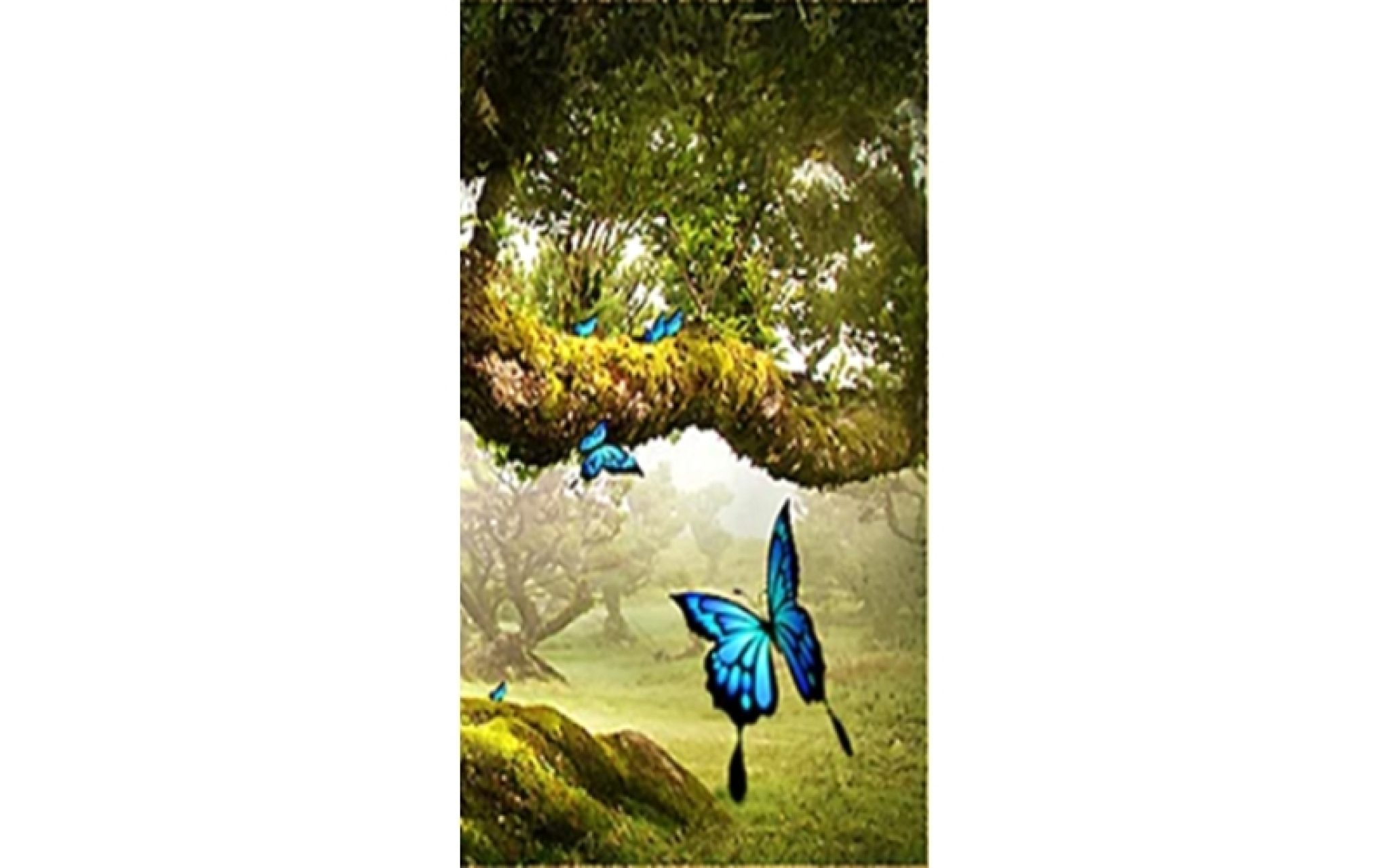 Choose an Image and Discover the Advice for the Next Month