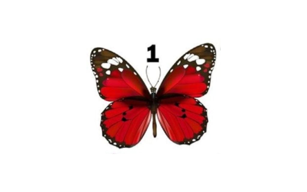 Learn More About Your Character by Choosing the Butterfly You Like Best