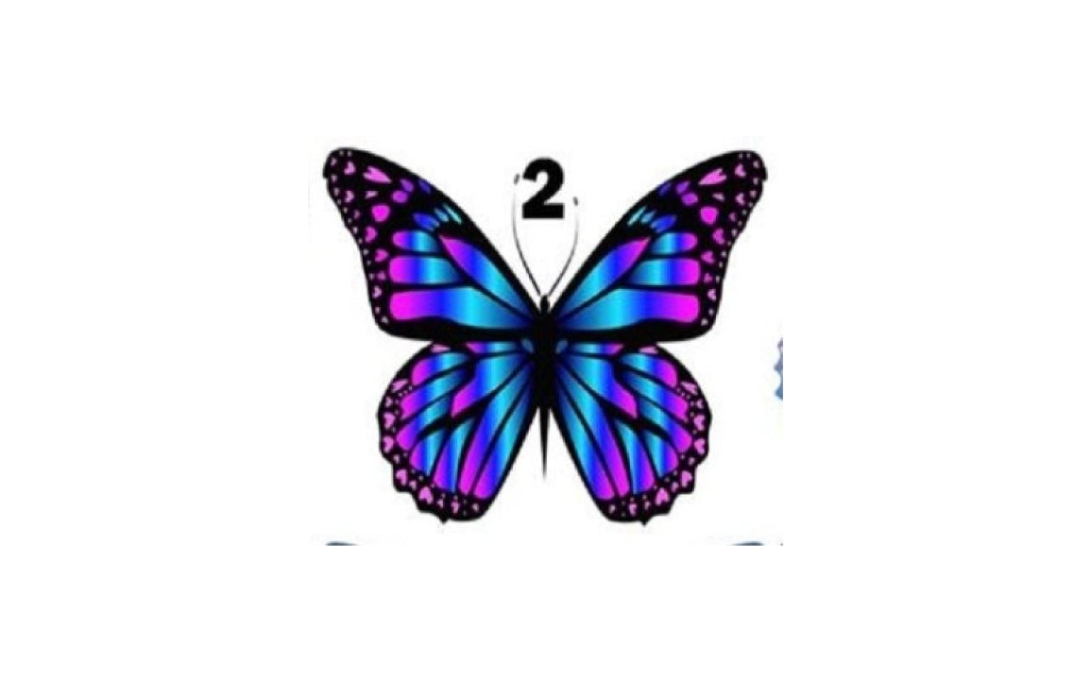 Learn More About Your Character by Choosing the Butterfly You Like Best