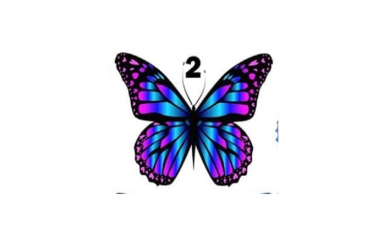 Learn More About Your Character by Choosing the Butterfly You Like Best