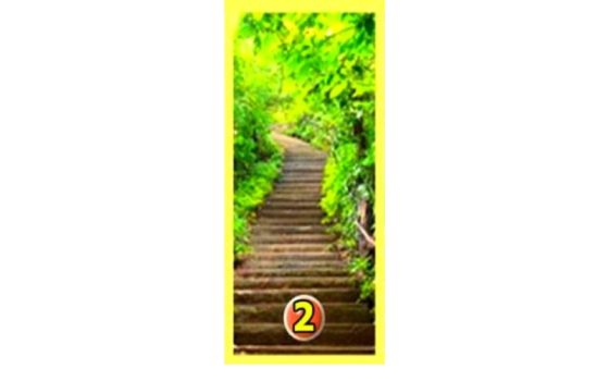 Which Path Will You Choose to Follow? Here’s What Your Choice Means