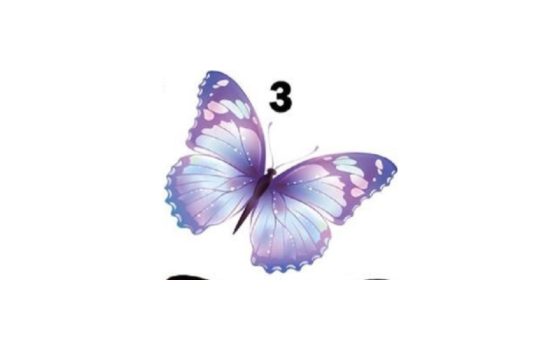 Learn More About Your Character by Choosing the Butterfly You Like Best