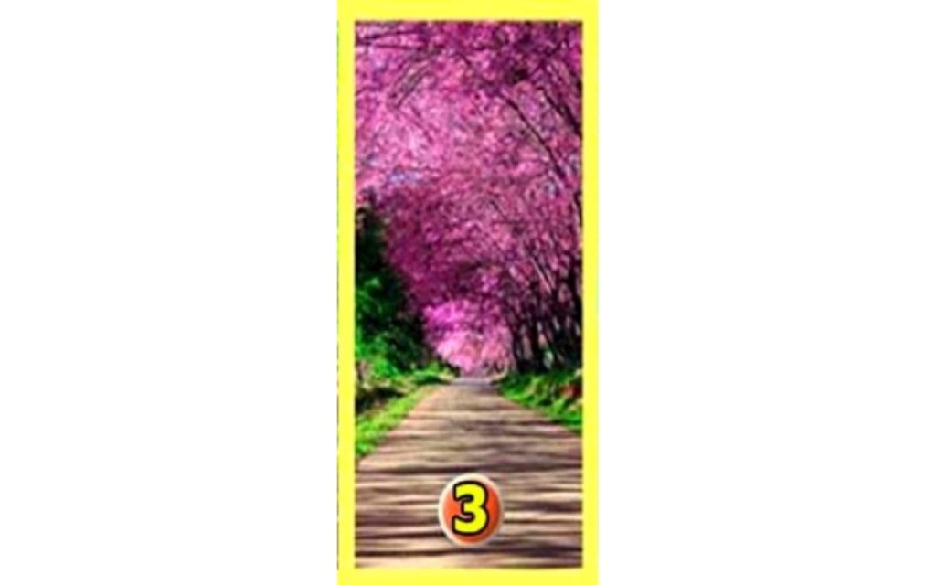 Which Path Will You Choose to Follow? Here’s What Your Choice Means