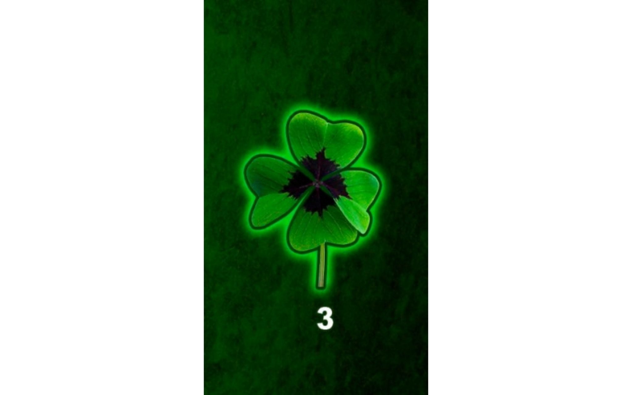 Discover What Fate Has In Store For You by Choosing a Lucky Four-Leaf ...
