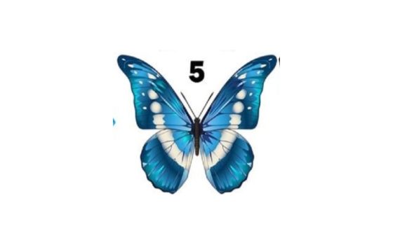 Learn More About Your Character by Choosing the Butterfly You Like Best