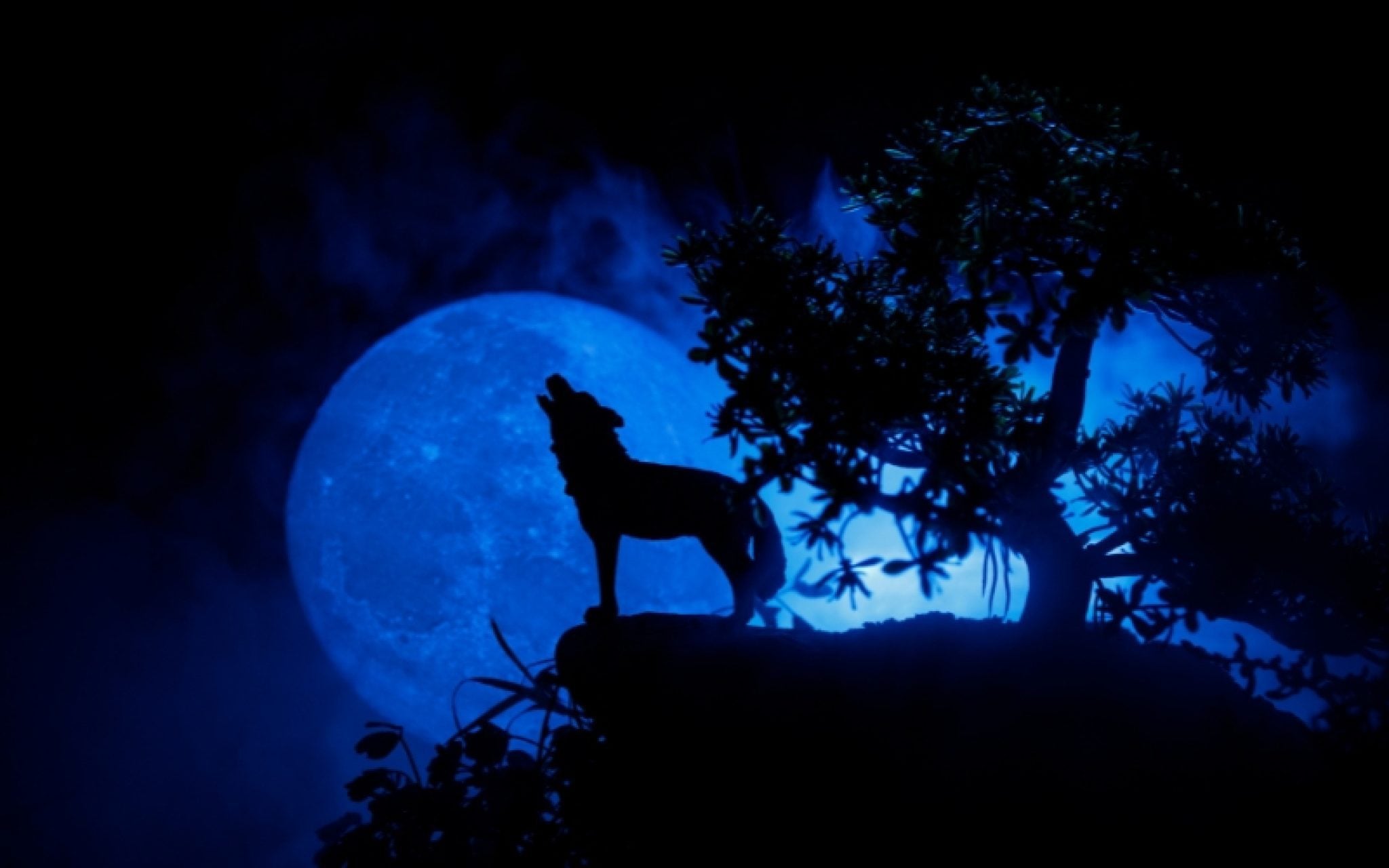 Which Mythical Creature Are You Based on Your Zodiac Sign