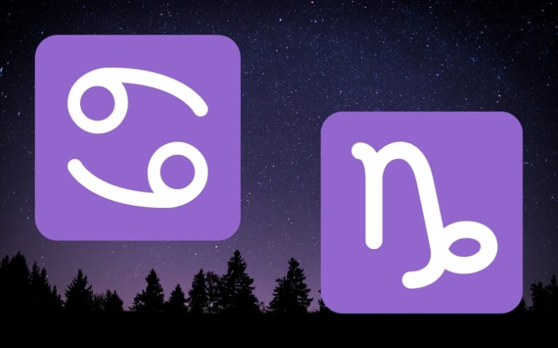 What Is a Sister Sign in Astrology – and How Do You Find Yours?