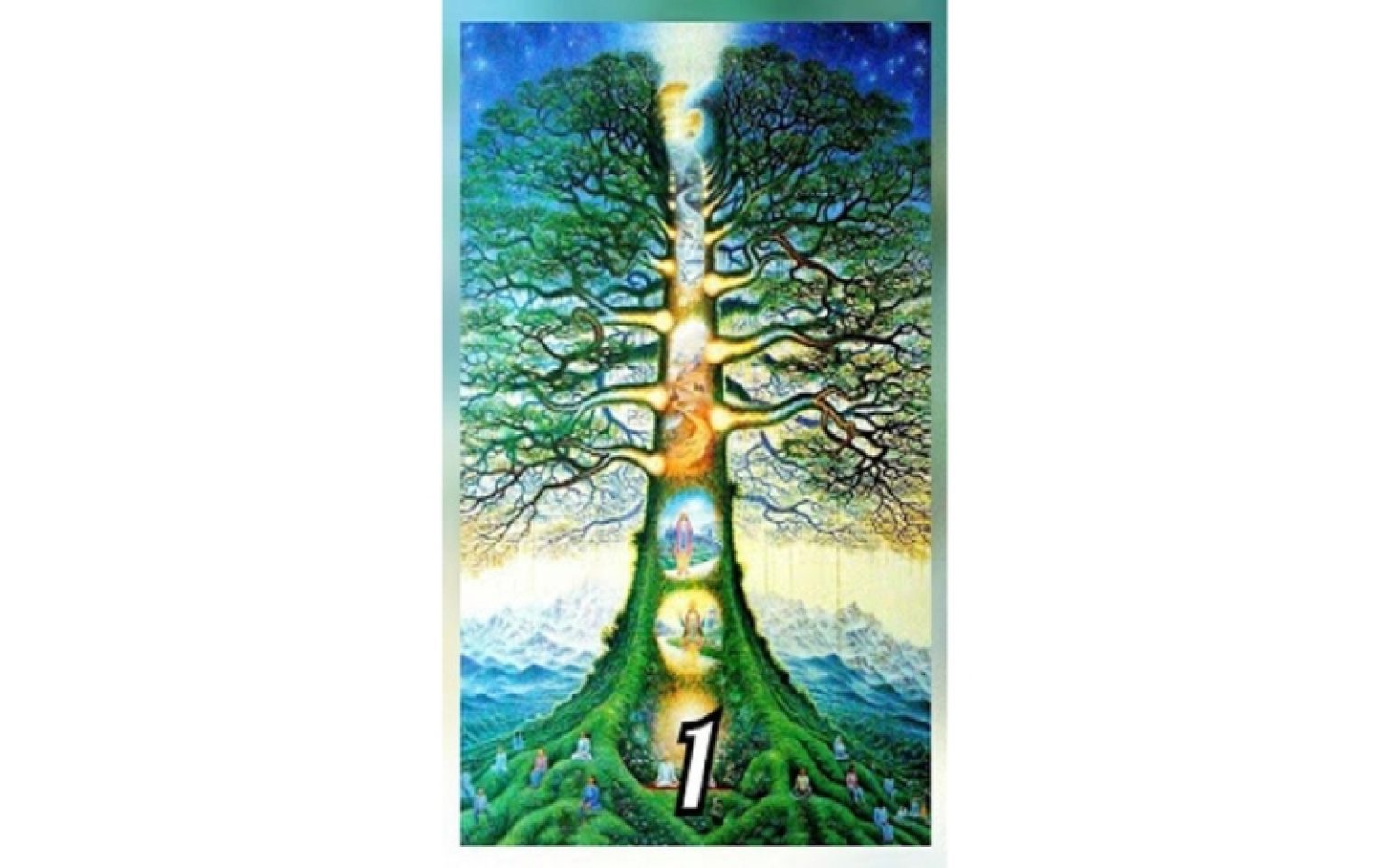 Choose a Tree of Wisdom and Discover What Powers You Inherited From ...