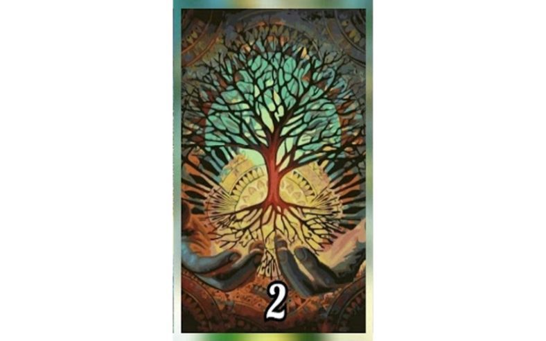 Choose a Tree of Wisdom and Discover What Powers You Inherited From ...