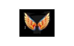 Your Guardian Angel Has an Important Message For You, Choose a Pair of ...