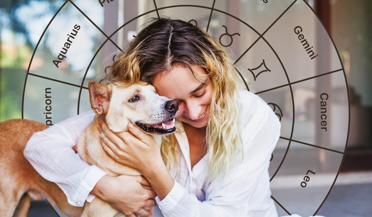 The Best Pet For You According To Your Zodiac Sign - Spiritualify