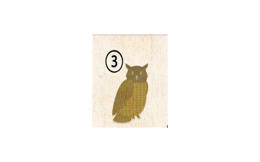 What is Your Spiritual Destiny? Choose an Animal and Find Out!