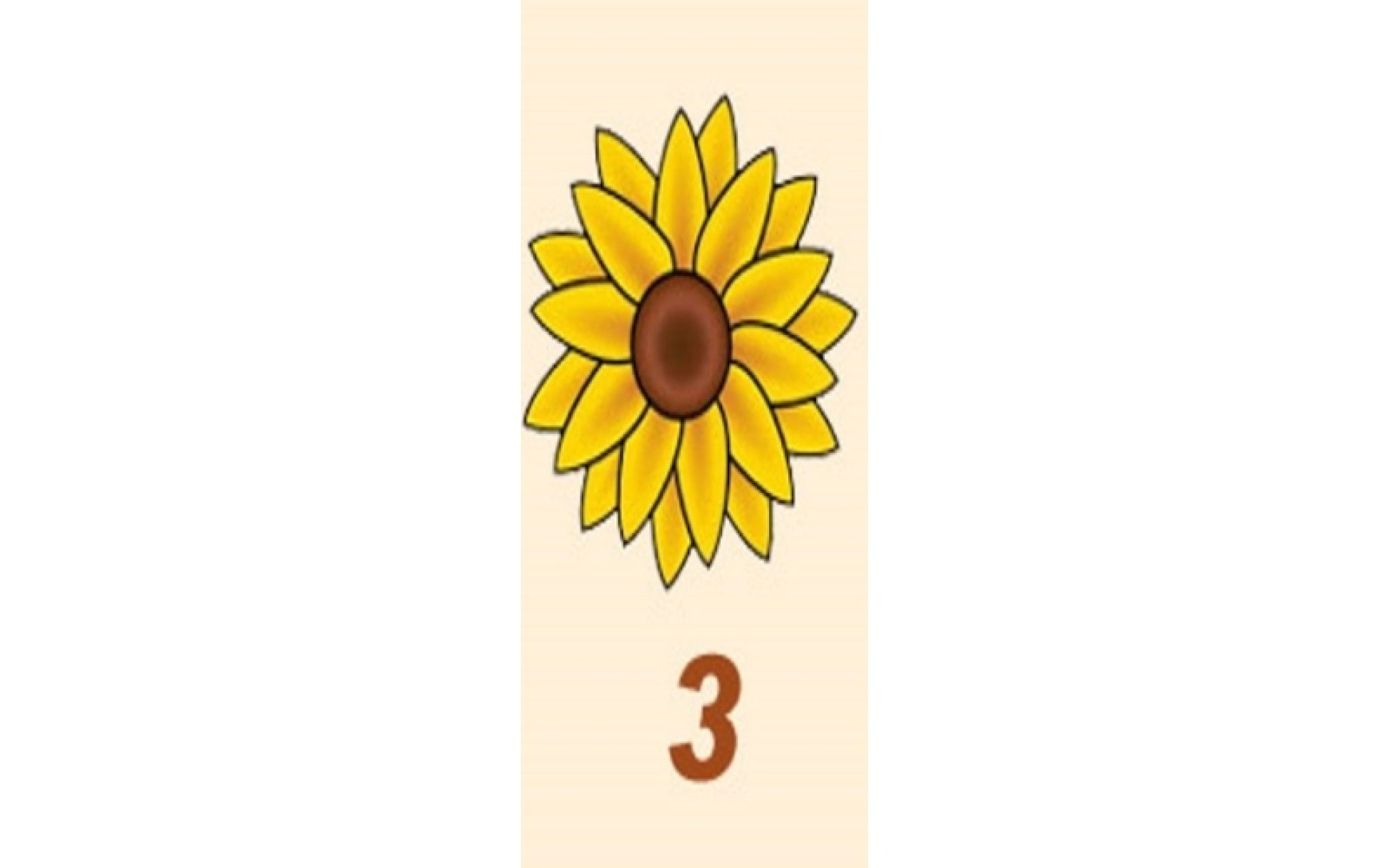 Choose a Flower and Discover the Message that Your Guardian Angel is ...