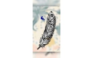 Do You Want To Know Your True Mission In Life? Choose a Feather to ...