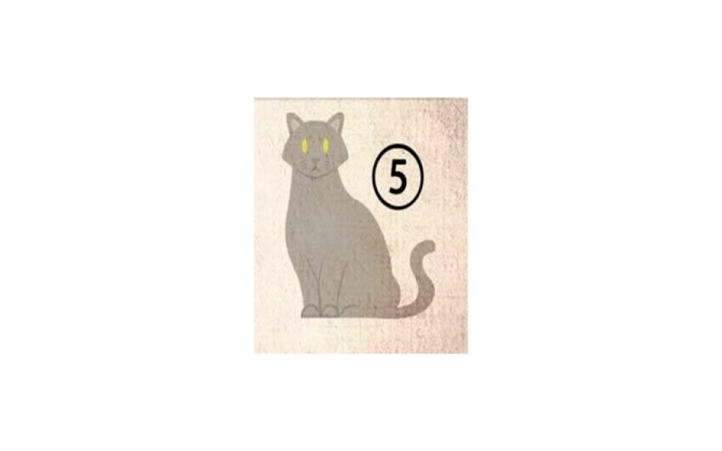 What is Your Spiritual Destiny? Choose an Animal and Find Out!