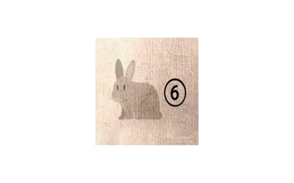 What is Your Spiritual Destiny? Choose an Animal and Find Out!