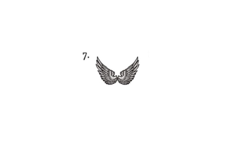 Which Wings Would you Choose? Discover the Blessing that has Been Sent ...