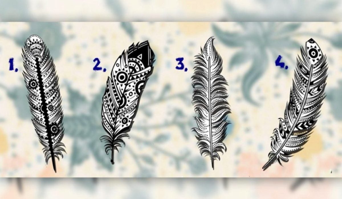 Do You Want To Know Your True Mission In Life? Choose a Feather to ...