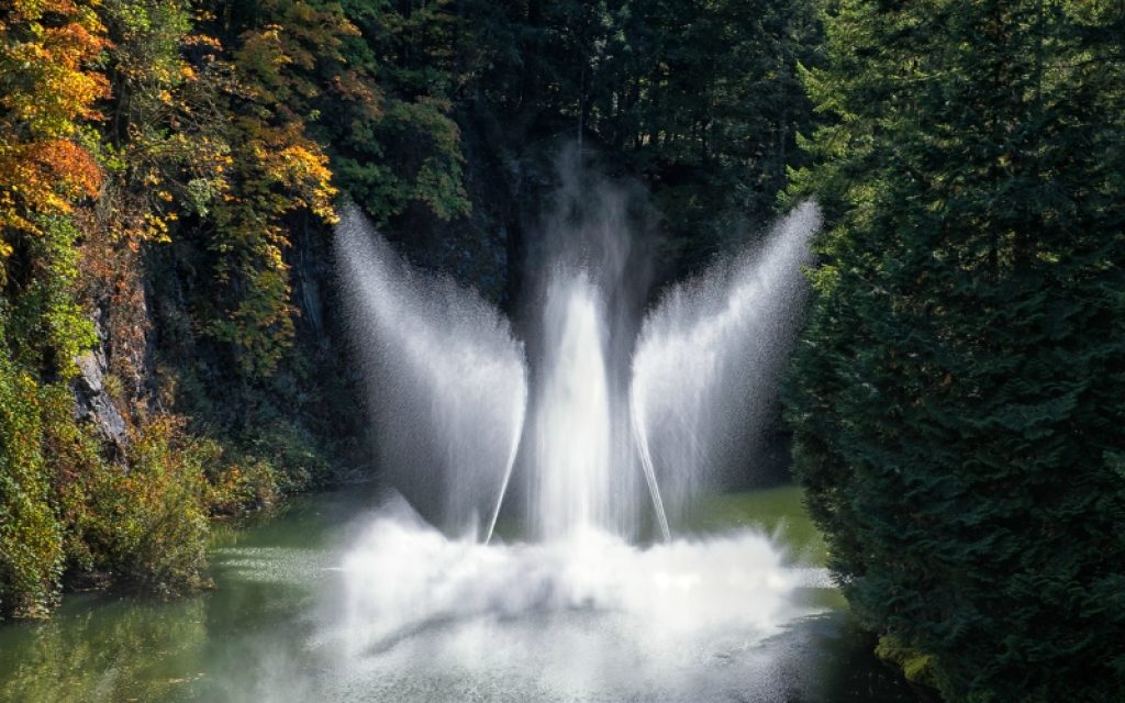 Spiritual Meaning Of Missing Forks - Pay Attention to Spirit Guides