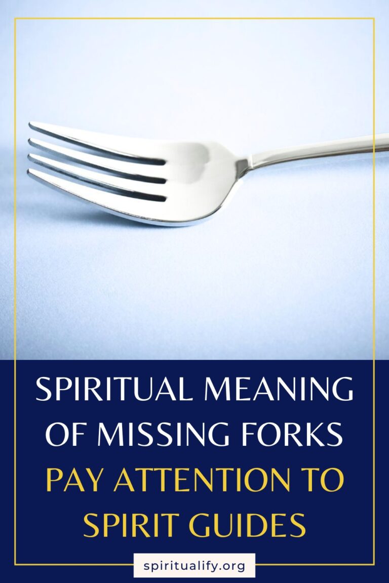 Spiritual Meaning Of Missing Forks - Pay Attention to Spirit Guides