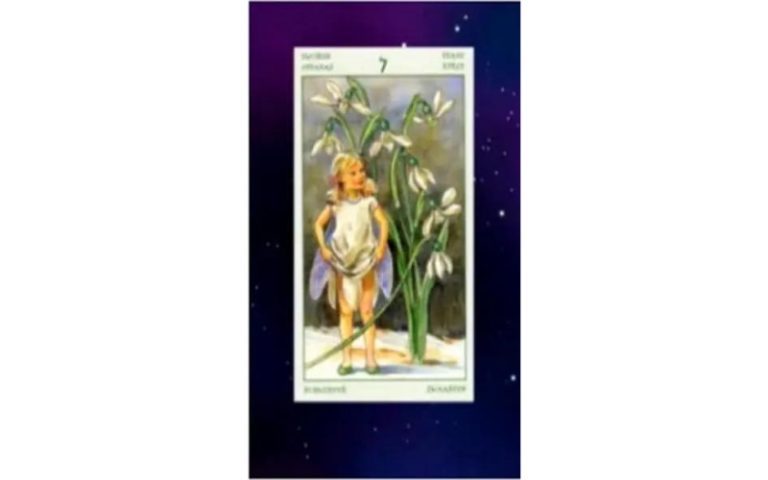 Choose a Fairy You Like Most to Find Out if Your Precious Wish Will ...