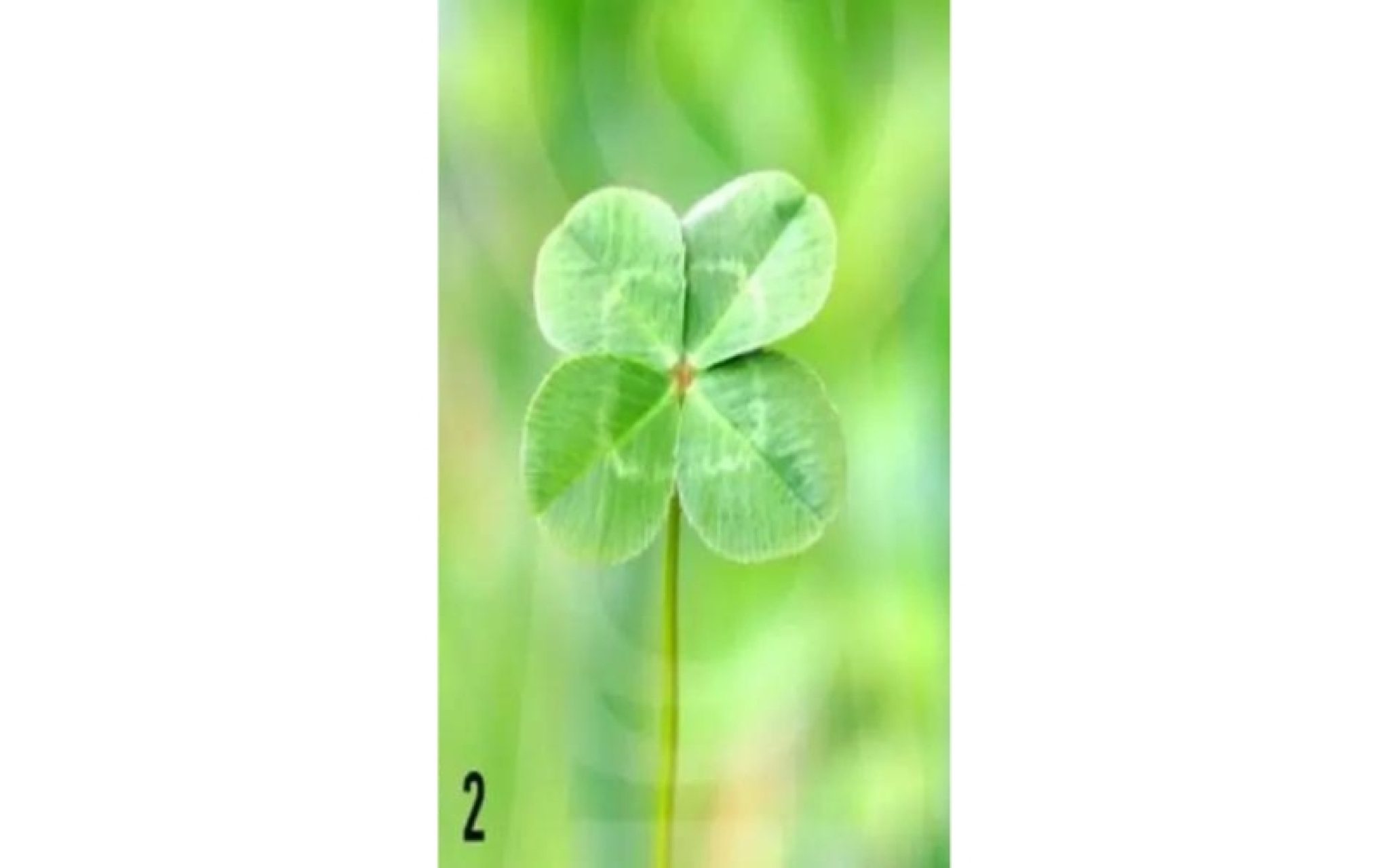 Choose a Lucky Charm and Receive a Powerful Message for Your Weekend