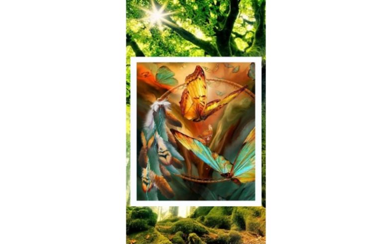 Choose a Totem Animal and it Will Tell You How to Get What You Want as ...