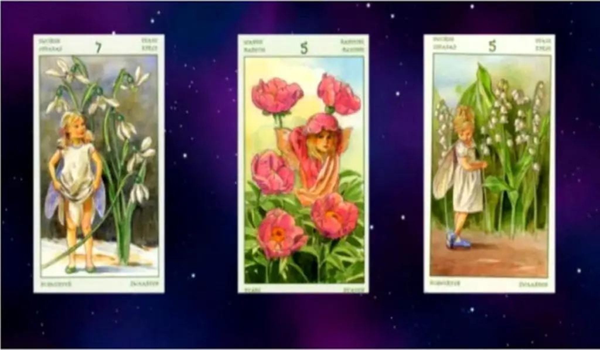 Choose a Fairy You Like Most to Find Out if Your Precious Wish Will ...