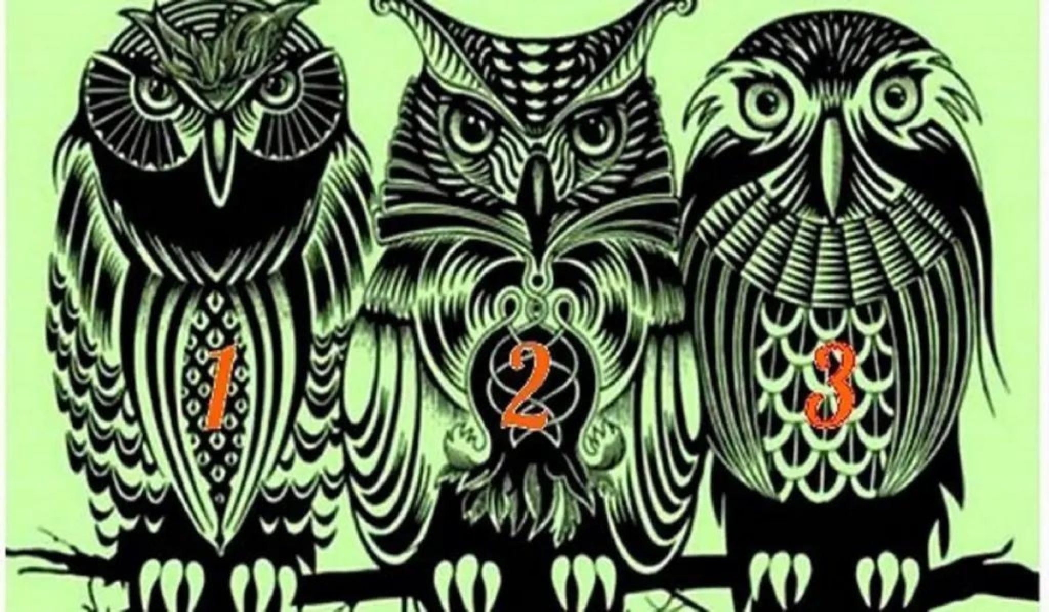 Receive a Special Message for You From Your Favorite Owl - Choose One