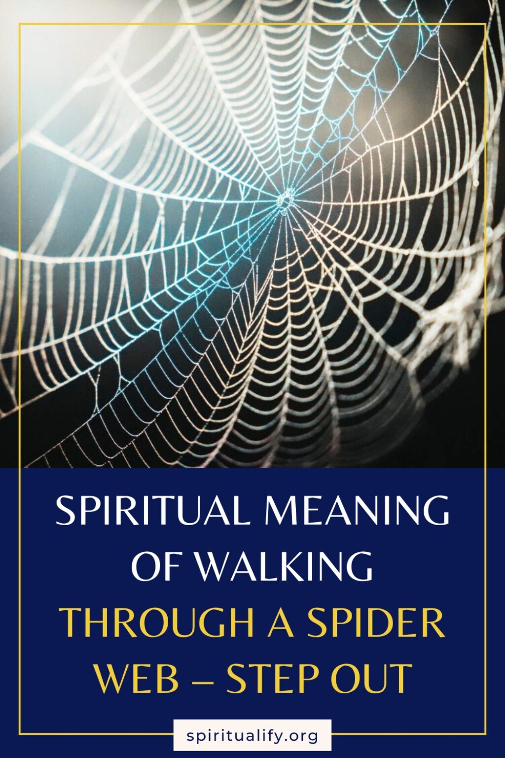 Spiritual Meaning Of Walking Through A Spider Web - Step Out