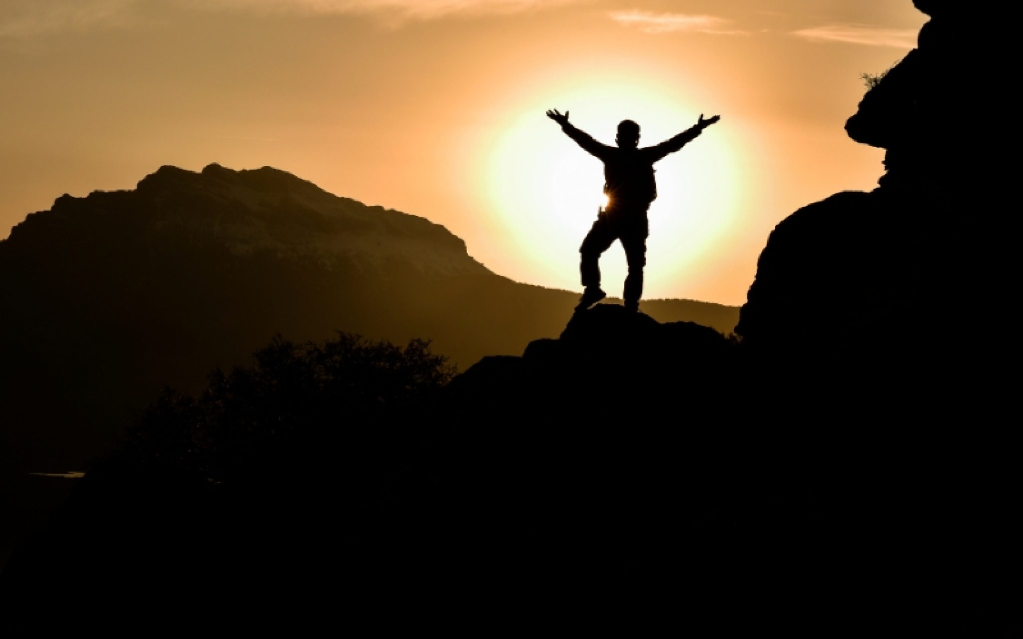 Spiritual Meaning Of Walking Through A Spider Web - Step Out