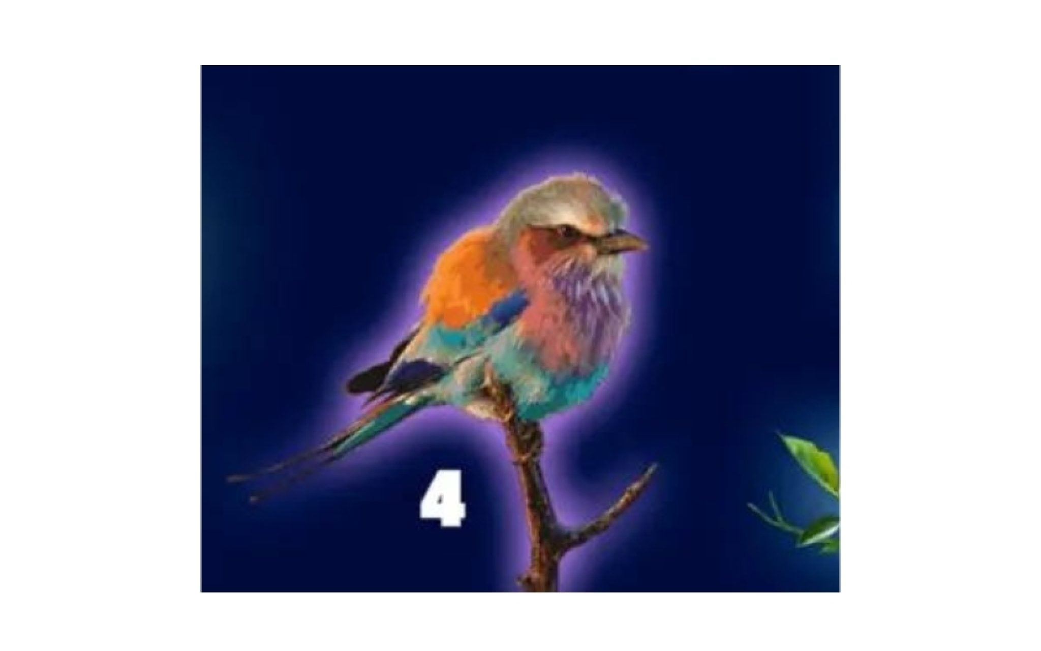 The Magic Bird You Choose Will Tell You What Awaits You Next Month