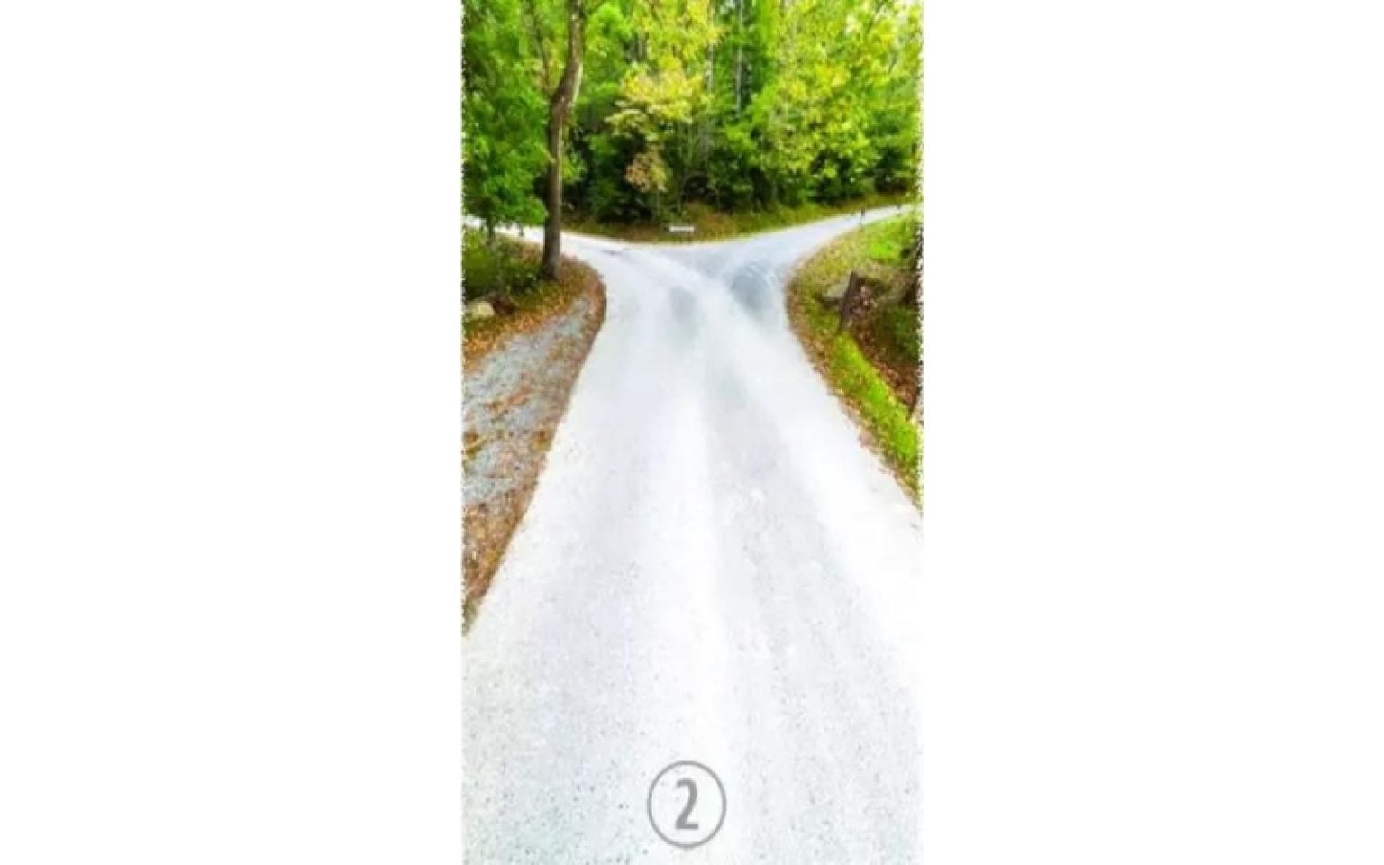 How to Carry on With Your Life Path? Choose an Image to Find Out
