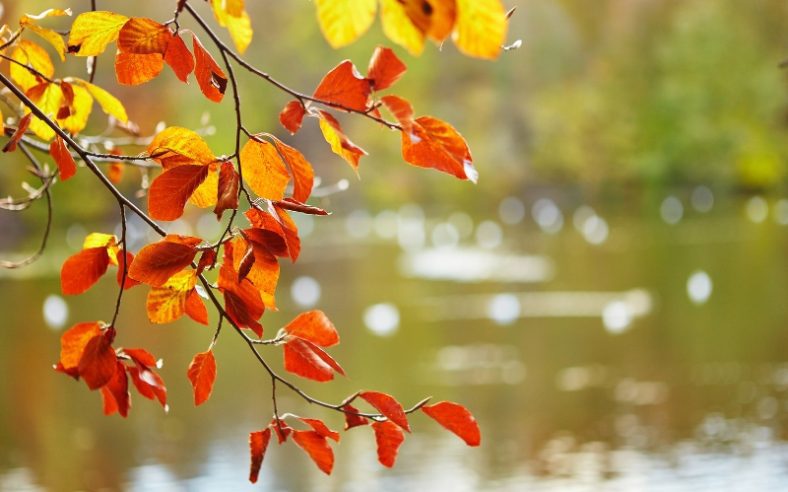 Spiritual Meaning Of September: Embracing Change & Transition