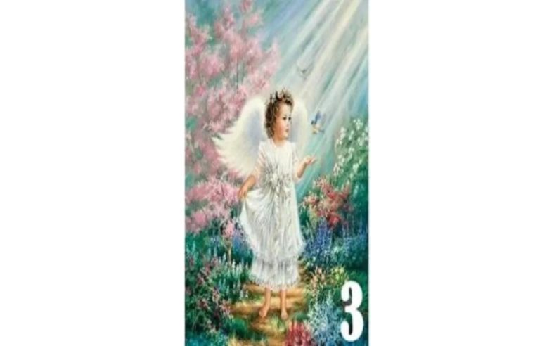 Choose an Angelic Card and Receive a Special Message for Next Month