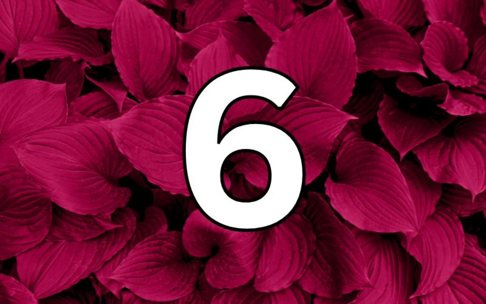 The Lucky Number And Lucky Color For Your Zodiac Sign In 2024