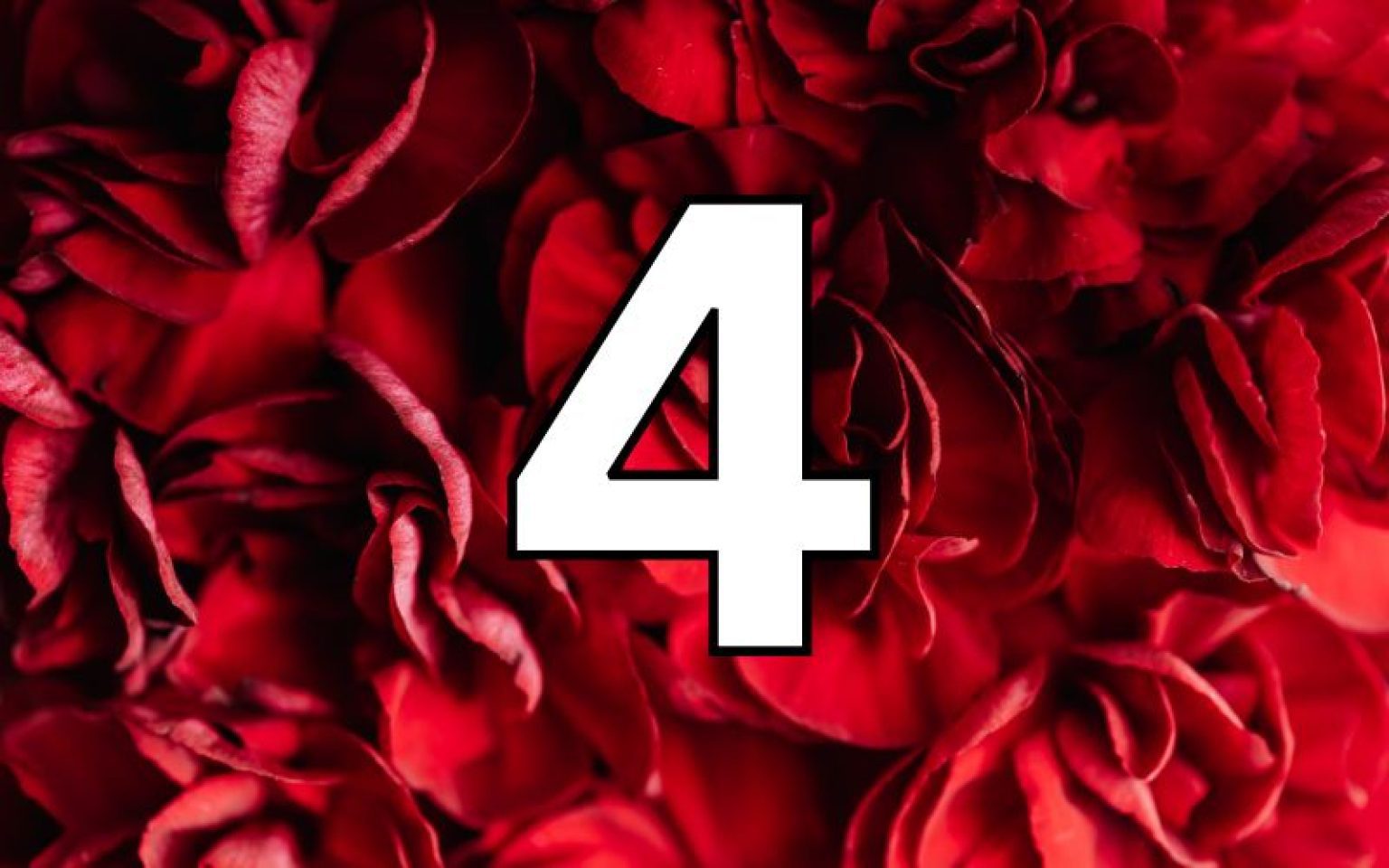 The Lucky Number And Lucky Color For Your Zodiac Sign In 2024