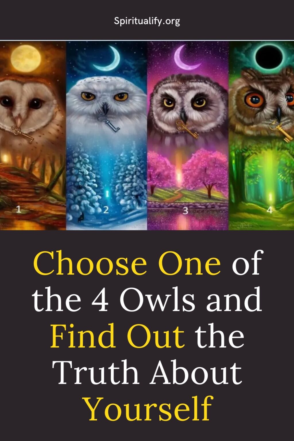 Choose One of the 4 Owls and Find Out the Truth About Yourself