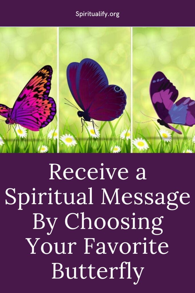 Receive a Spiritual Message By Choosing Your Favorite Butterfly