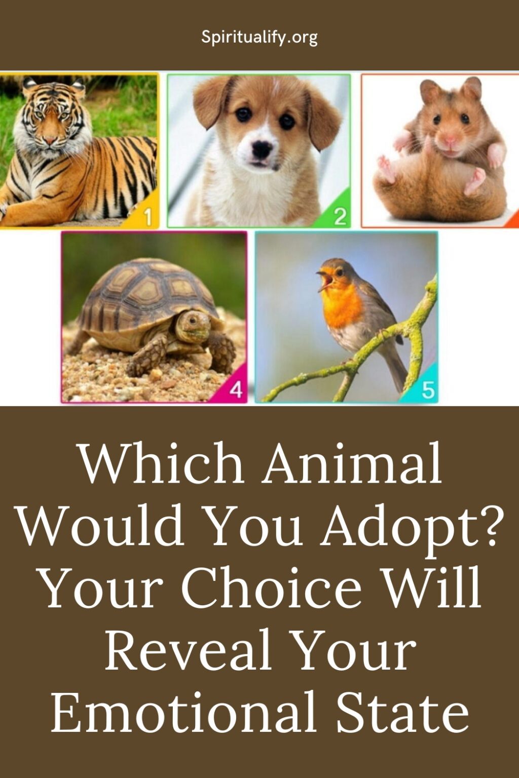 Which Animal Would You Adopt? Your Choice Will Reveal Your Emotional State
