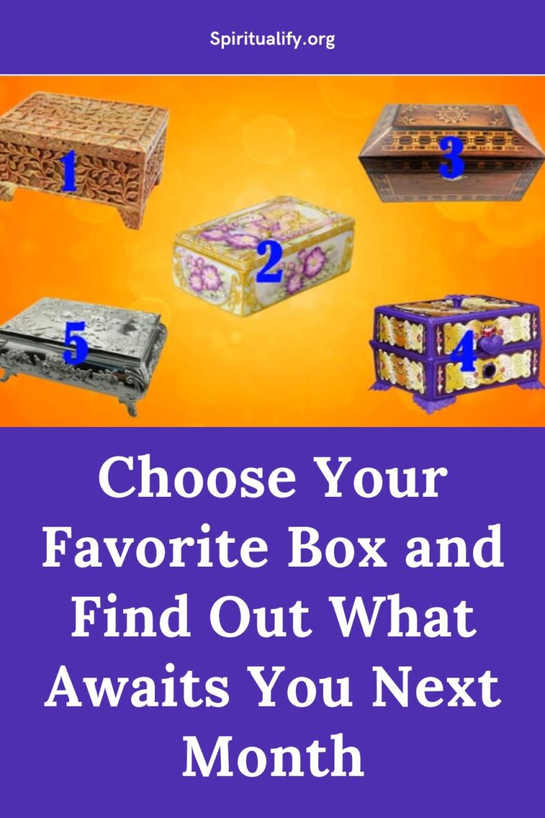 Choose Your Favorite Box and Find Out What Awaits You Next Month