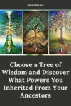 Choose a Tree of Wisdom and Discover What Powers You Inherited From ...
