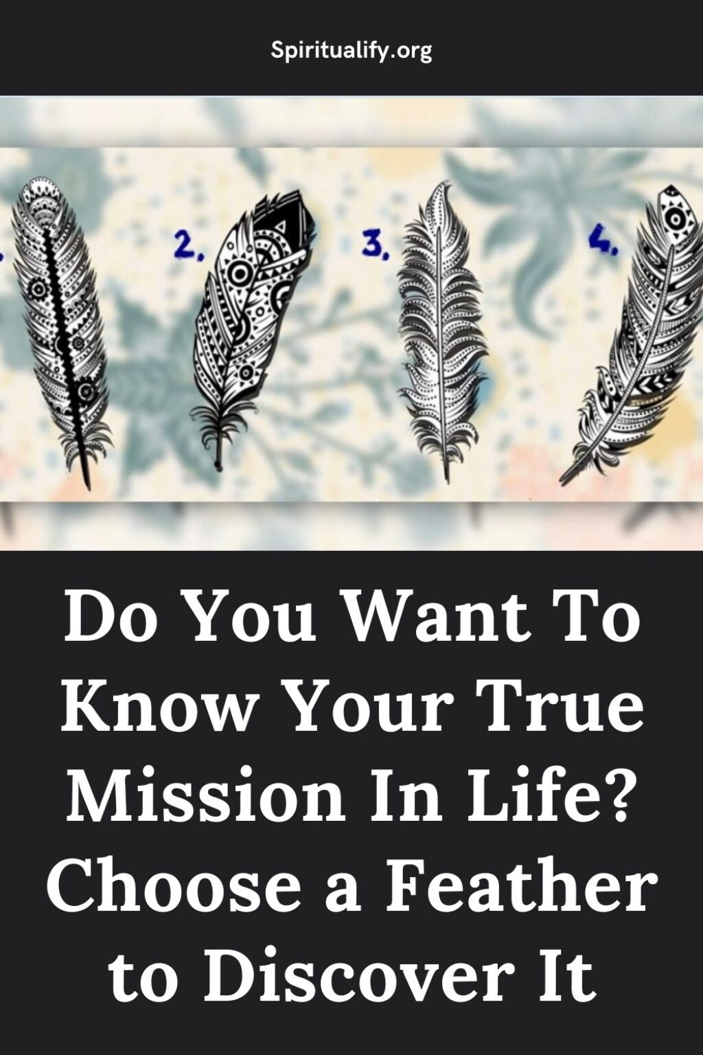 Do You Want To Know Your True Mission In Life? Choose a Feather to ...