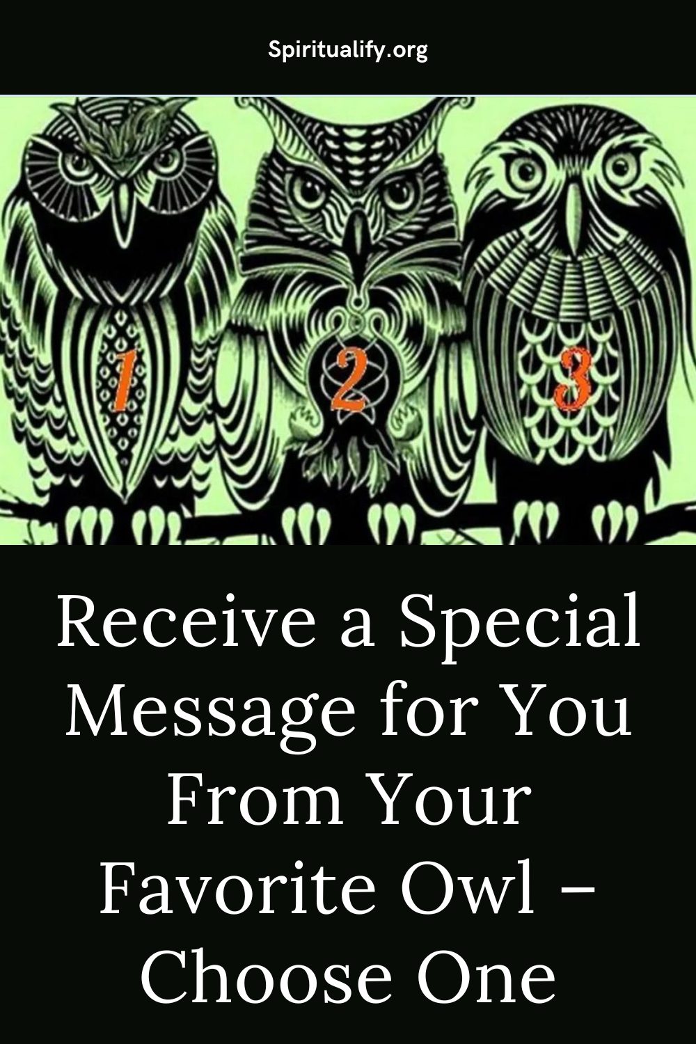 Receive a Special Message for You From Your Favorite Owl - Choose One