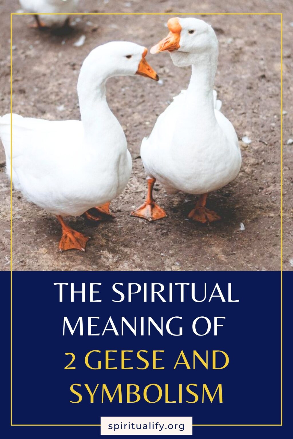 The Spiritual Meaning Of 2 Geese And Symbolism - Spiritualify