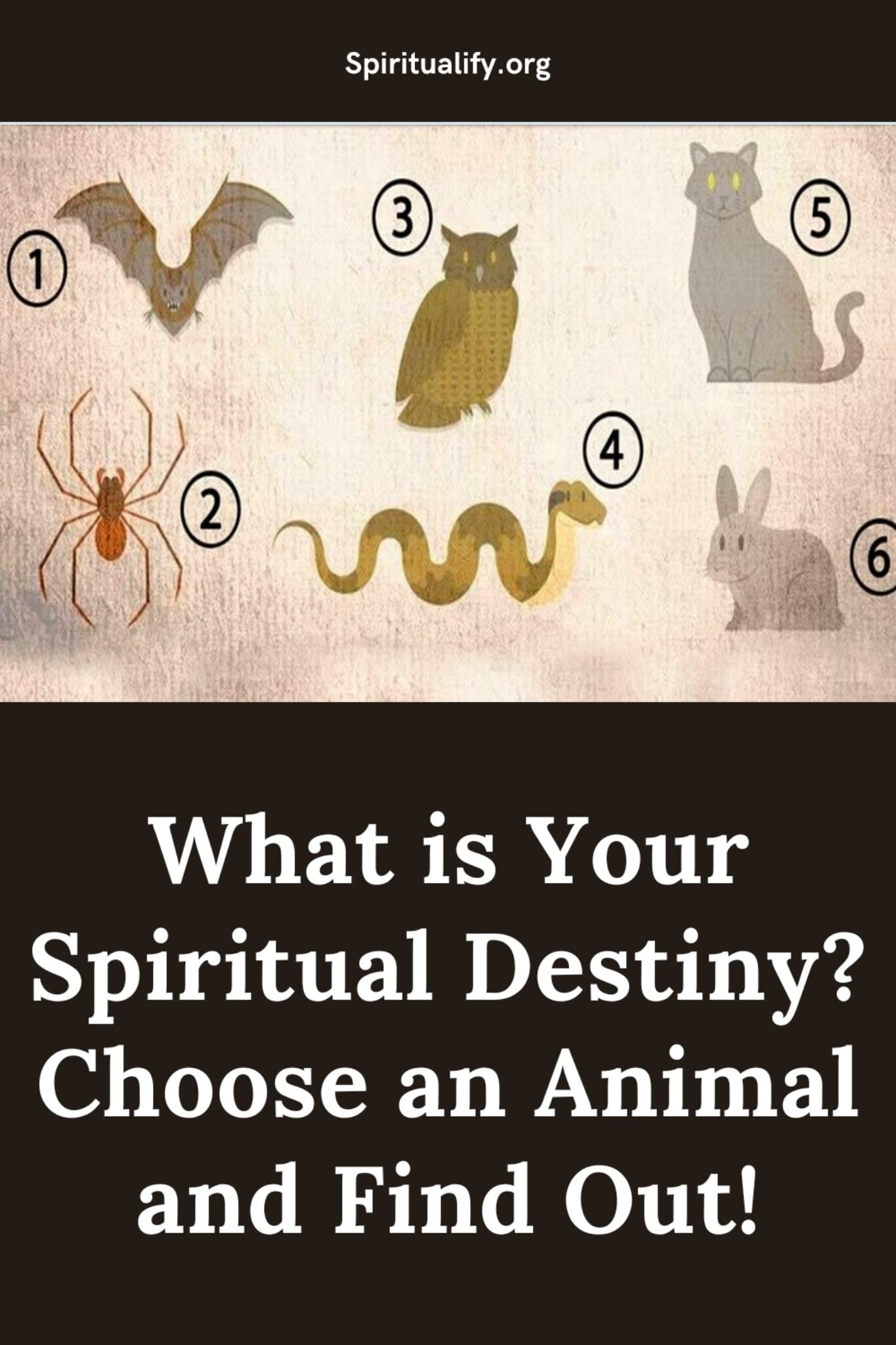 What is Your Spiritual Destiny? Choose an Animal and Find Out!